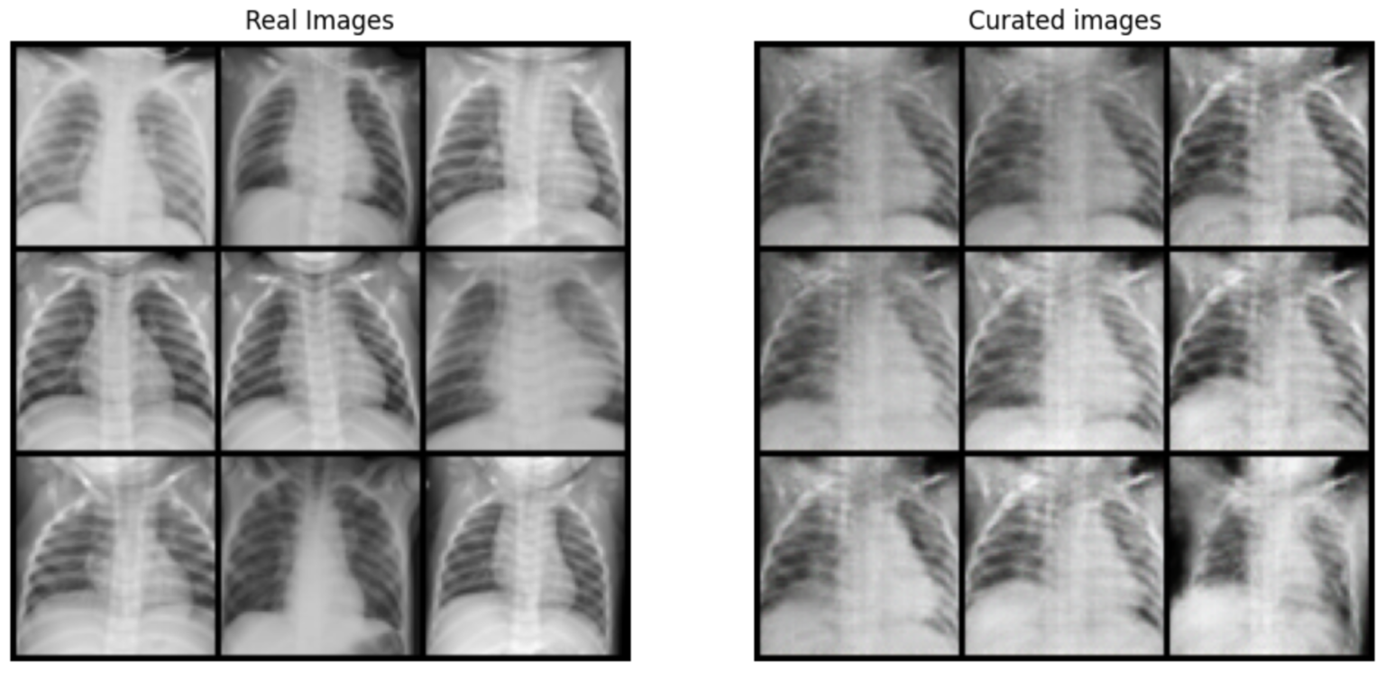 Understanding Image Generation: A Beginner's Guide to Generative ...
