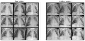 Understanding Image Generation: A Beginner’s Guide to Generative ...